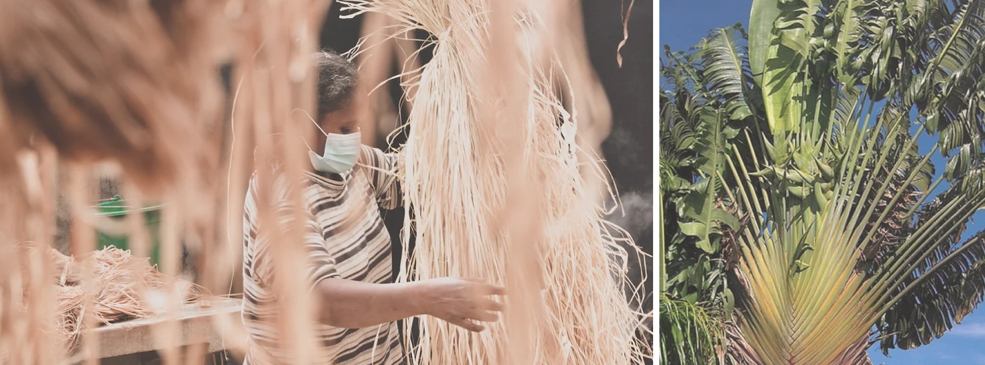 Raffia Production: A Sustainable Natural Fiber Transforming Fashion and ...