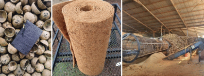 Coconut Fabric Explained: Coir, Charcoal Textiles, and Sustainable ...