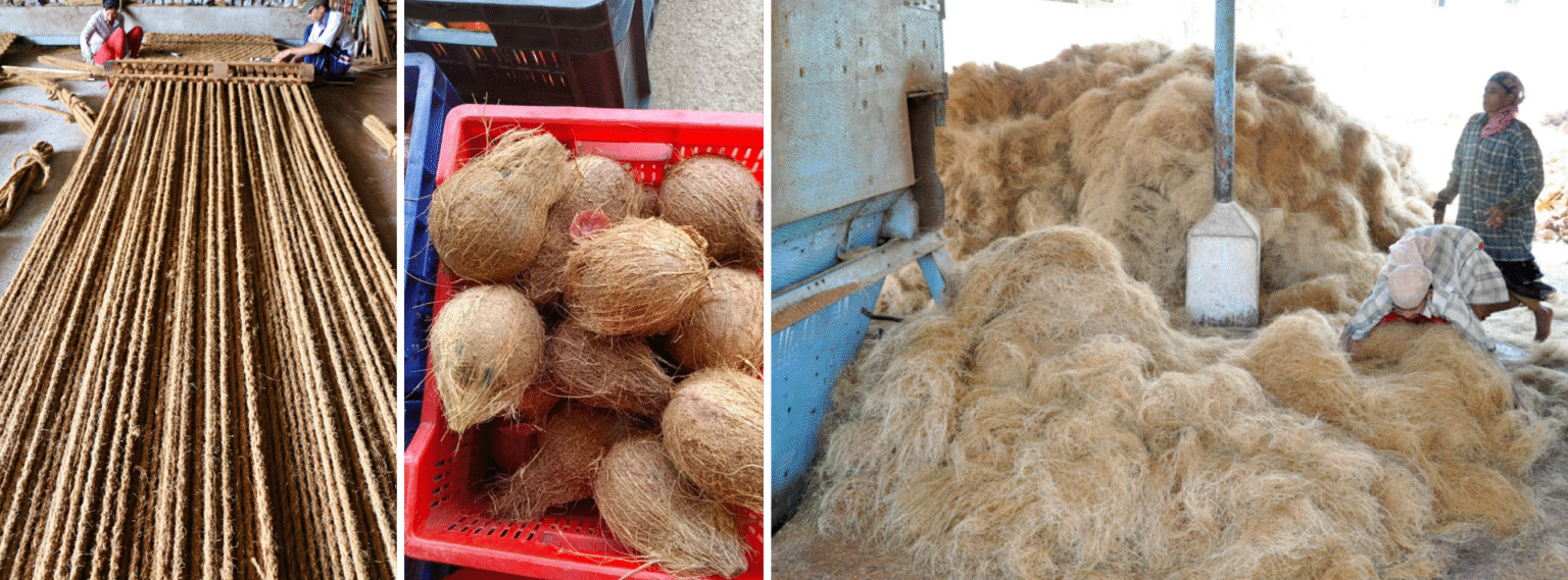 Coconut Fabric Explained: Coir, Charcoal Textiles, and Sustainable ...