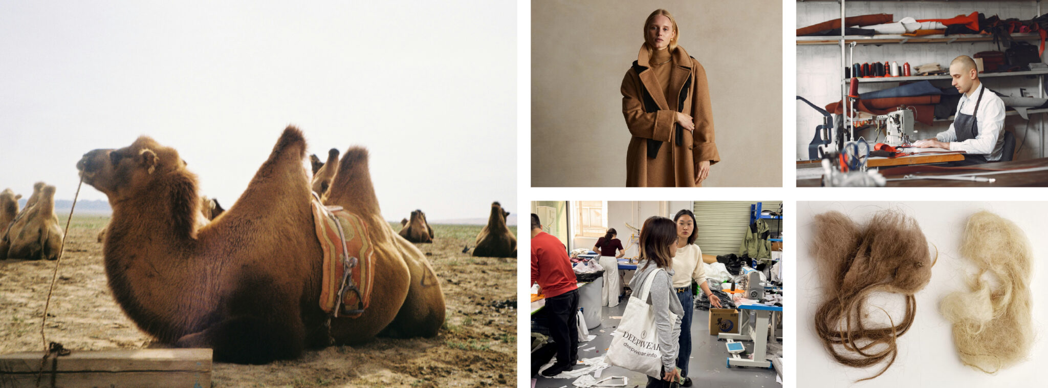 Camel Wool Explained: Sourcing a Rare Luxury Fiber