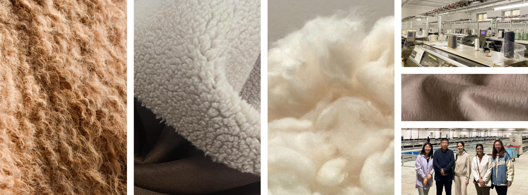 Camel Wool Explained: Sourcing a Rare Luxury Fiber