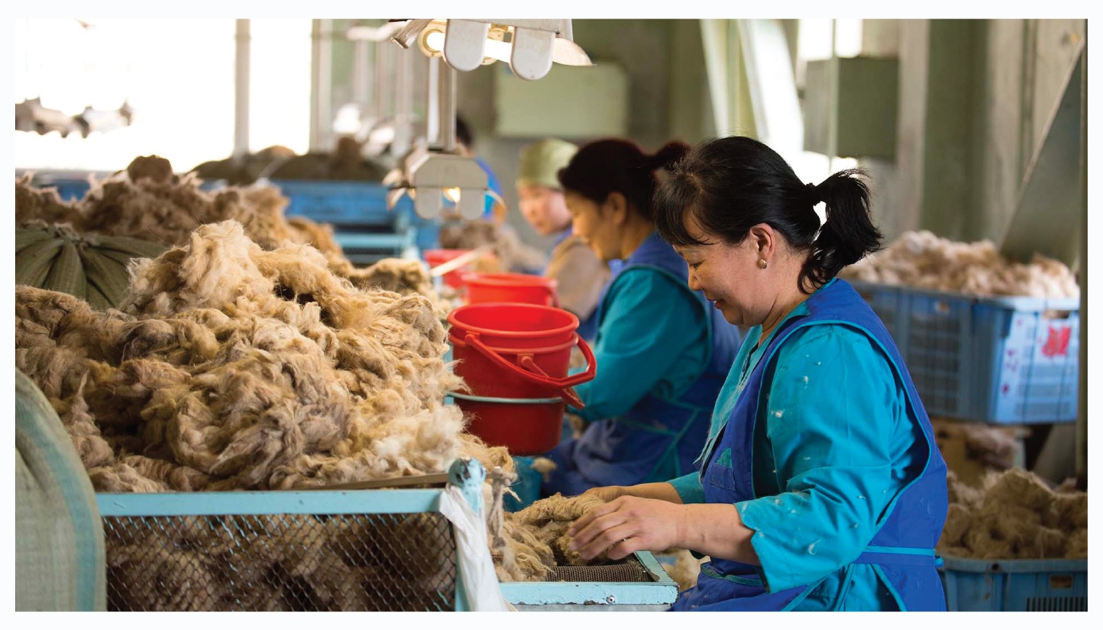 Deciphering Cashmere Quality: A Consumer's Guide - Deepwear